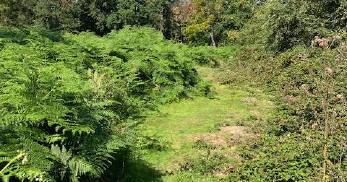 Dormansland Circular - Ramblers